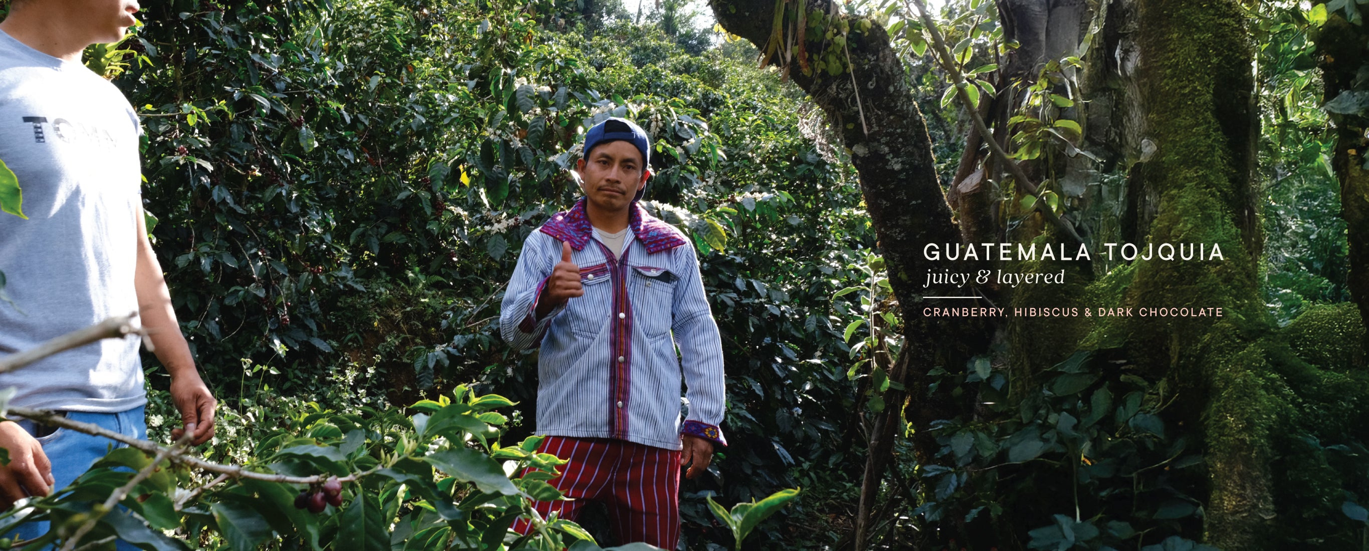 Sustainable Coffee Roasters | Specialty Coffee | Wonderstate